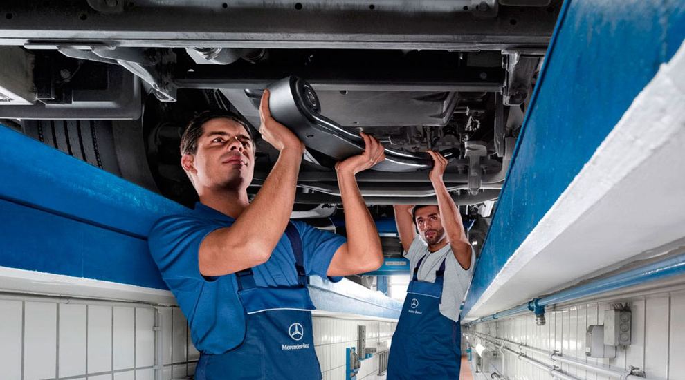 Kaufmann Asesor Virtual